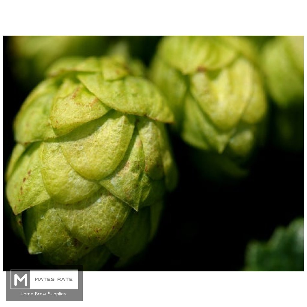 US Strata – Mates Rate Home Brew Supplies