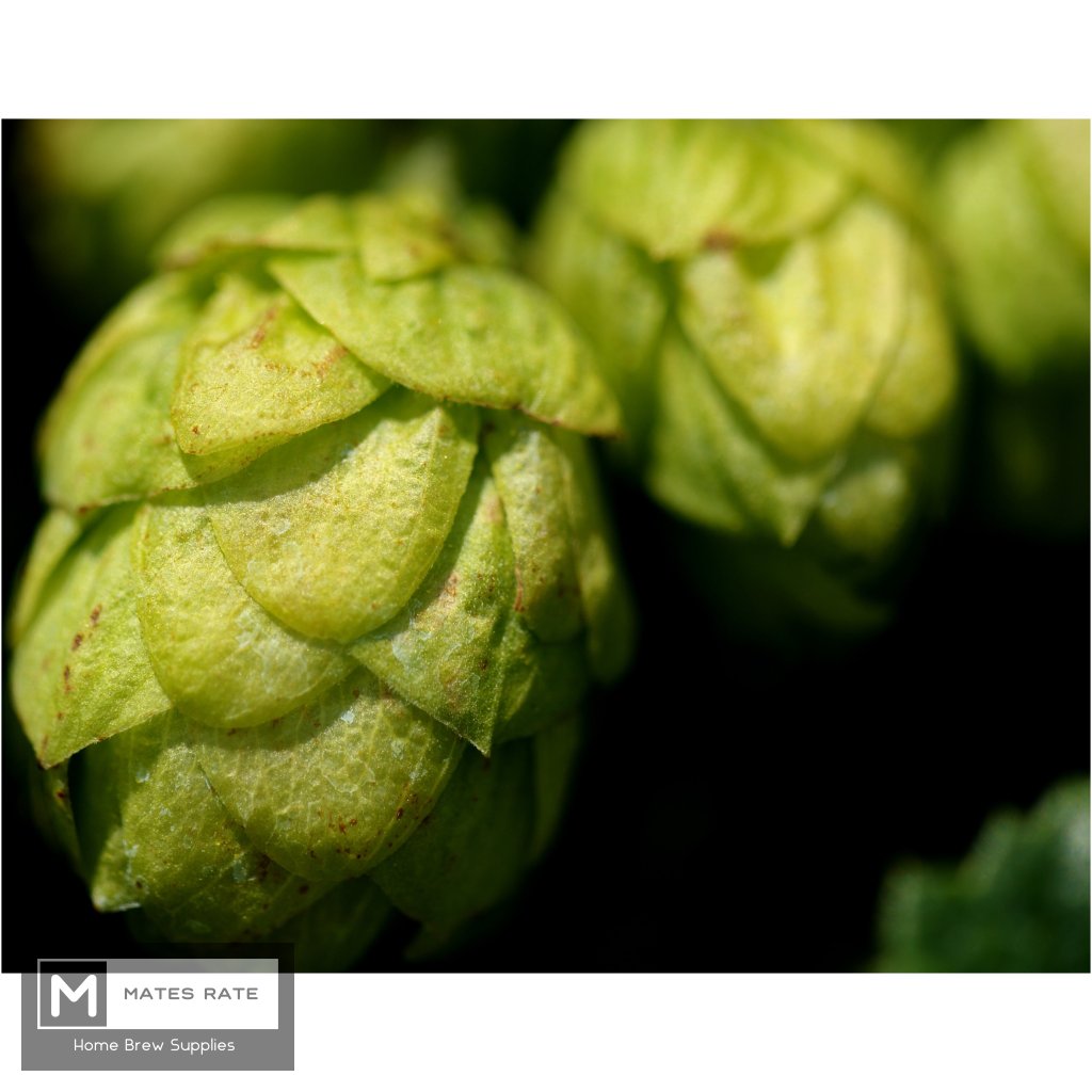 AU Topaz – Mates Rate Home Brew Supplies